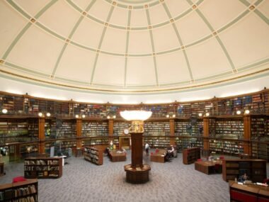 20 Best Online Bible Study Courses